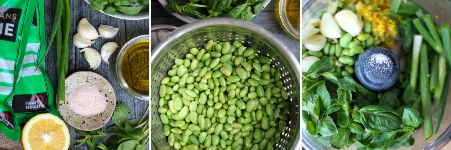 Edamame Purée - HUMBL HABITS